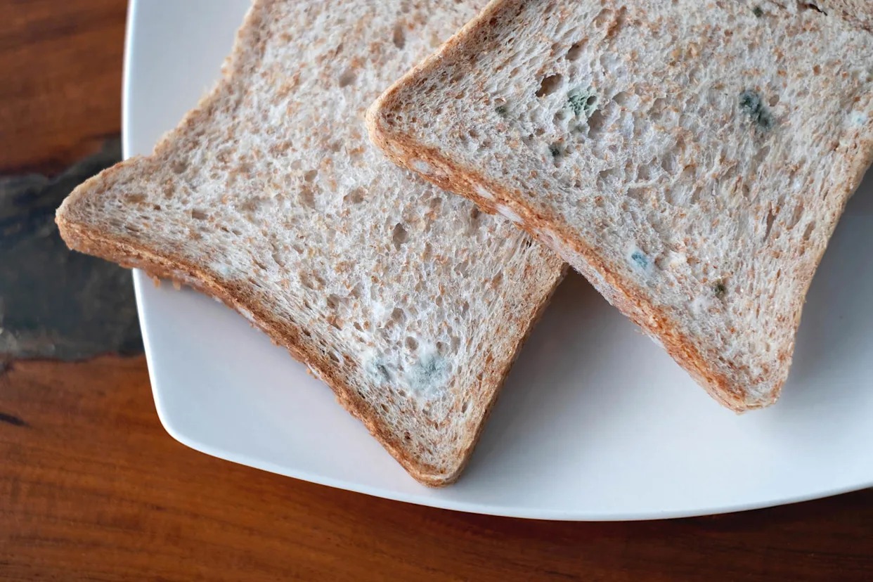 What happens if we eat moldy food: health risks and what to do ...